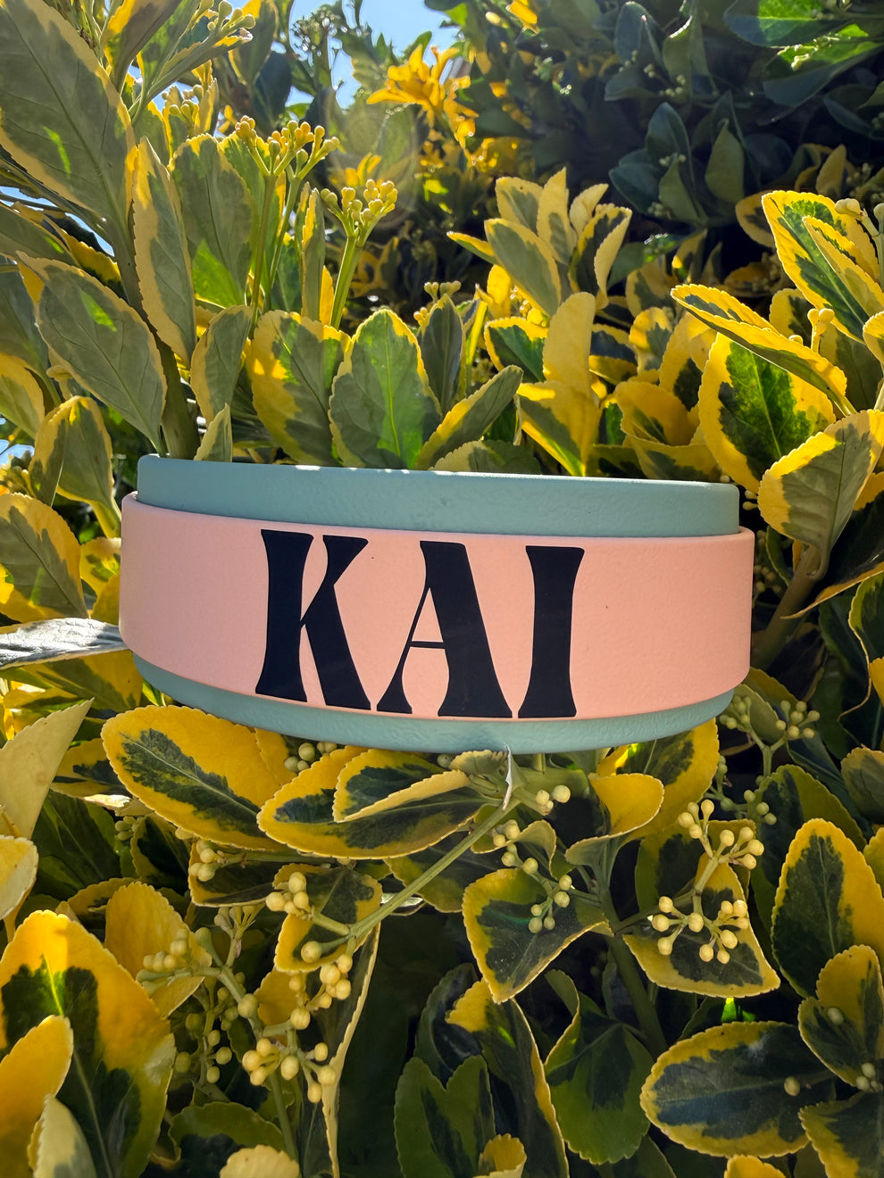 1.5" Layered Biothane® Custom Name Dog Collar | Waterproof – Chaotic Gear